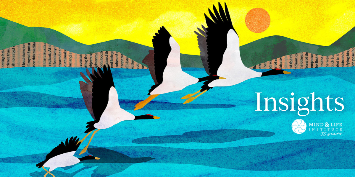 What is mind? An "enactive approach" to understanding cognition