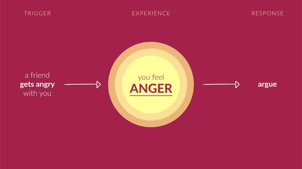 Understanding our Emotions - Mind & Life Institute