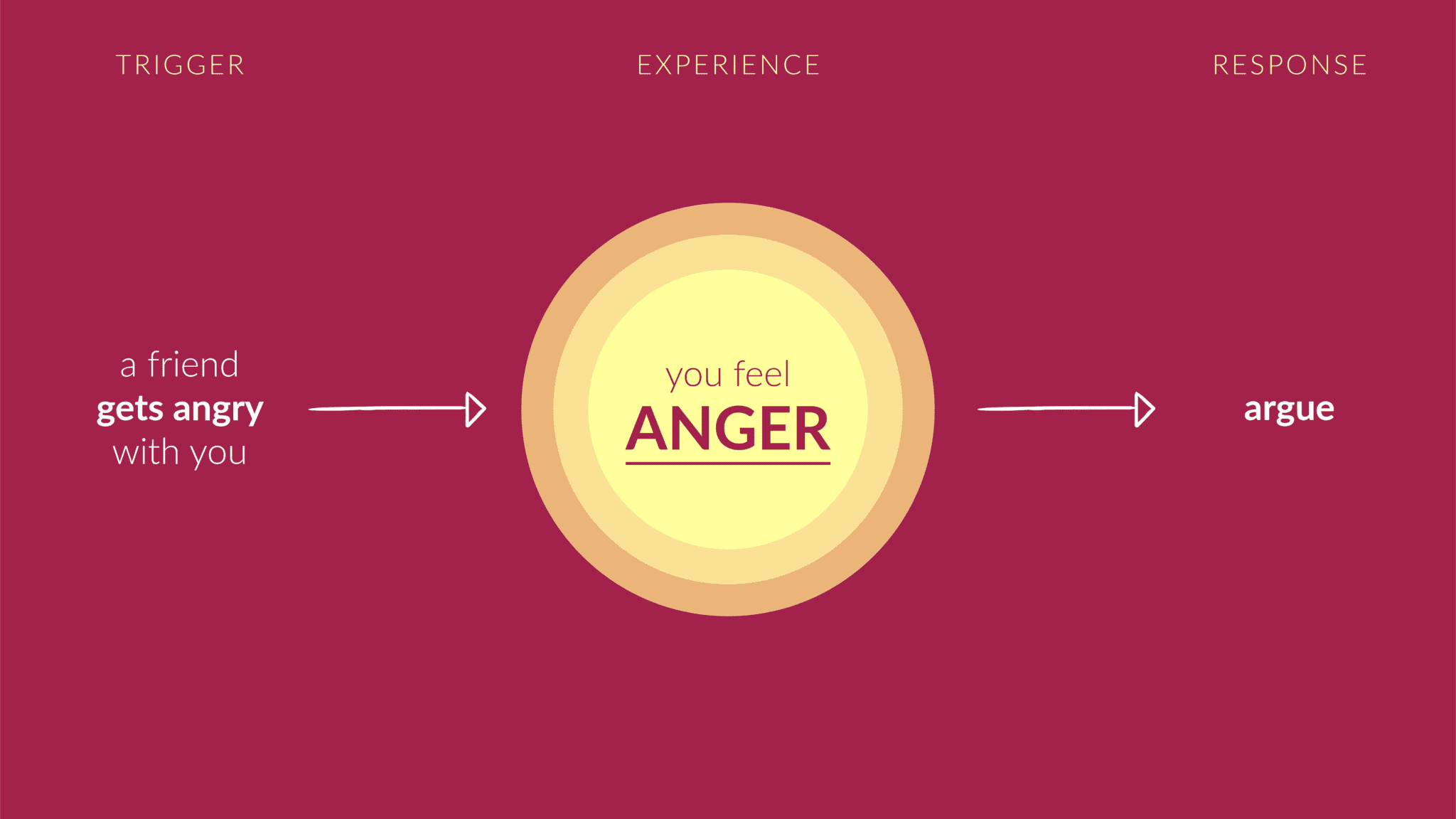 Understanding our Emotions - Mind & Life Institute