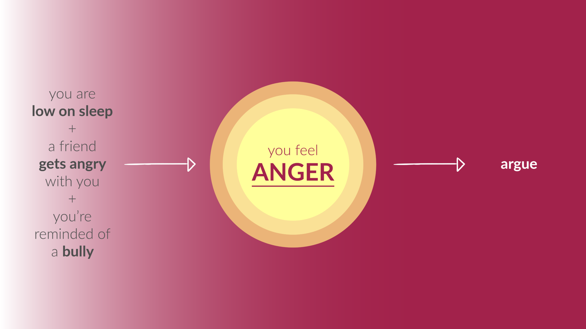 Understanding our Emotions - Mind & Life Institute
