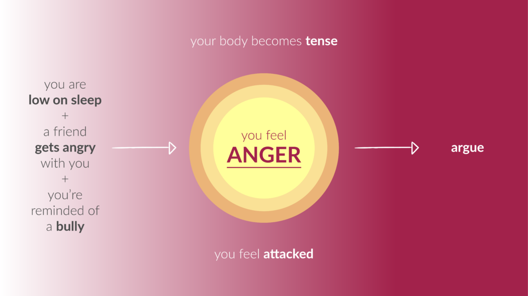 Understanding our Emotions - Mind & Life Institute