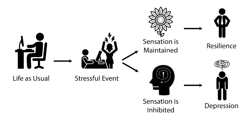 The Senses: A Pathway to Well-being - Mind & Life Institute